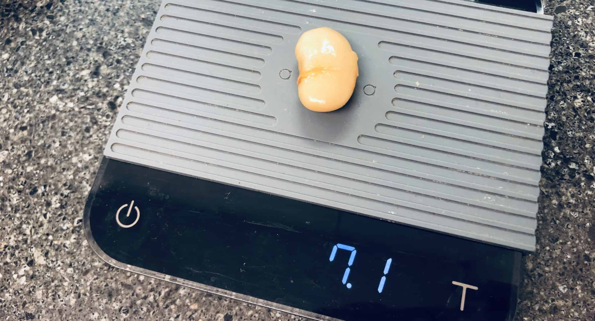 What Are The Largest Beans For Eating? | Help At My Home