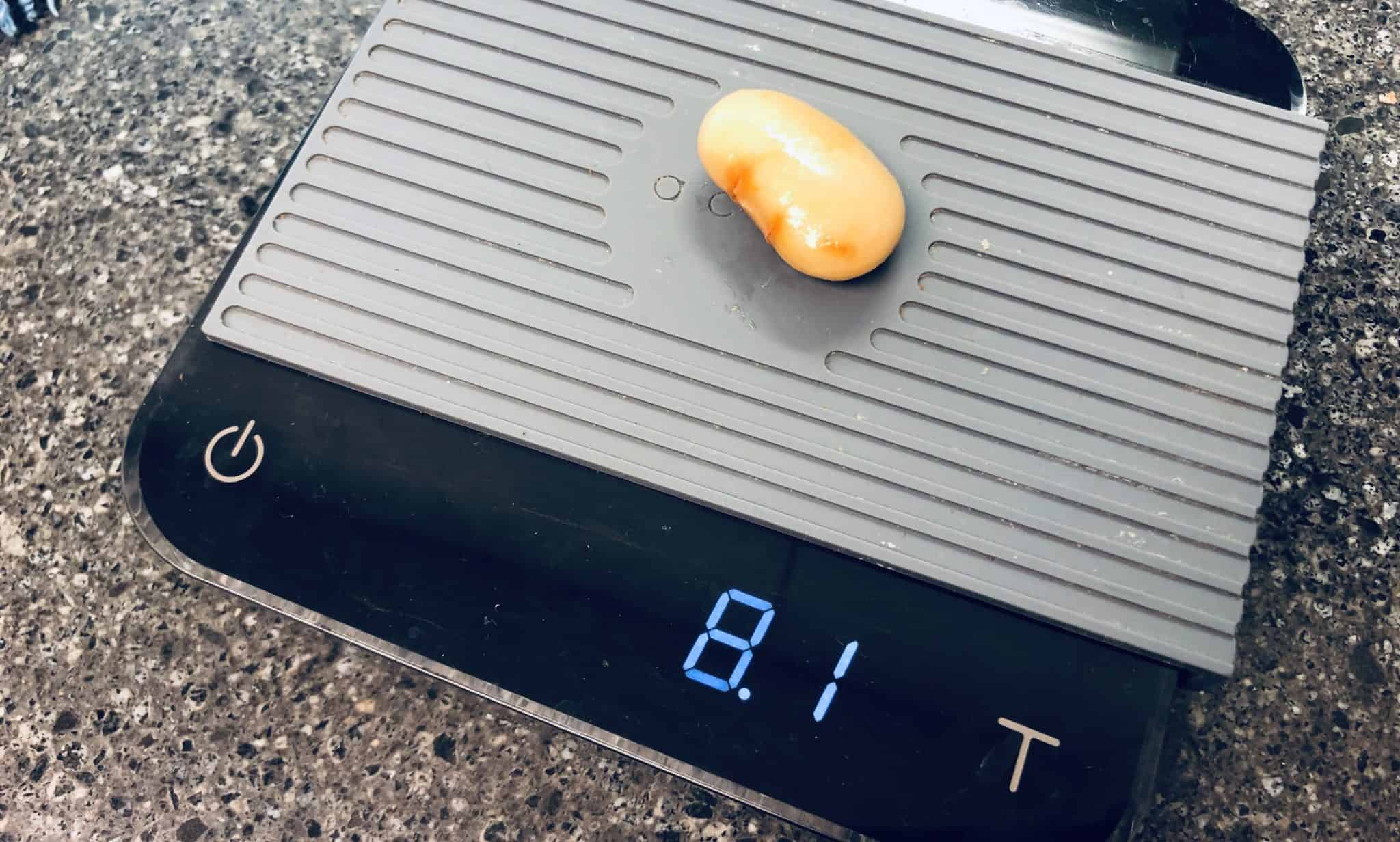 What Are The Largest Beans For Eating? | Help At My Home